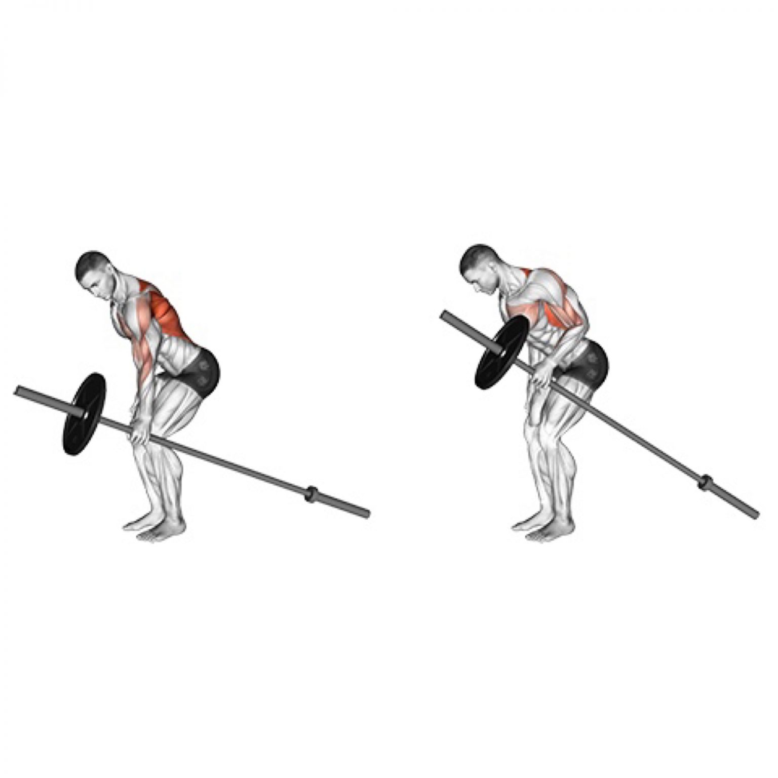 Featured Exercise: Landmine One-Arm Row - Purdy’s Wharf Fitness Club